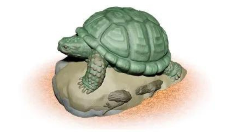 Turtle Lagoon – UPC Parks